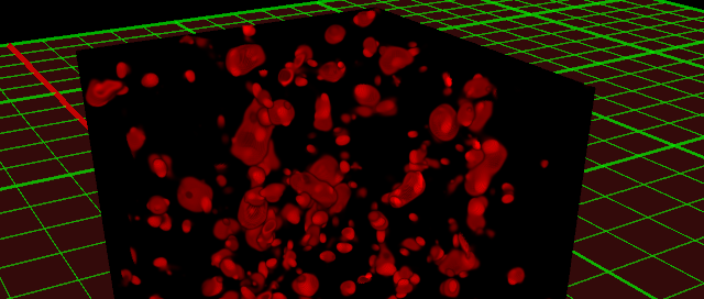 Compute shaders / SmoothLife 3d